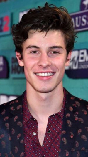 Shawn Mendes Hairstyle Some Tips To Get Hairstyles Like This Canadian