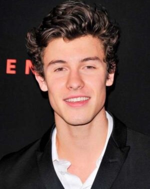 Shawn Mendes Hairstyle - Some Tips to Get Hairstyles like this Canadian ...