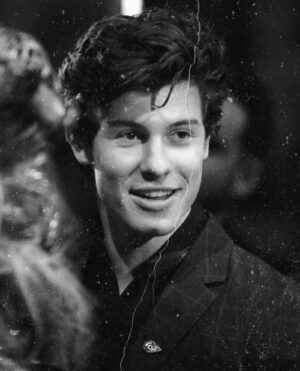 Shawn Mendes Hairstyle - Some Tips to Get Hairstyles like this Canadian ...